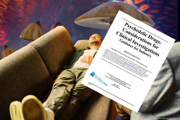 A List of the Strongest Psilocybe cubensis Strains | Psychedelic Spotlight